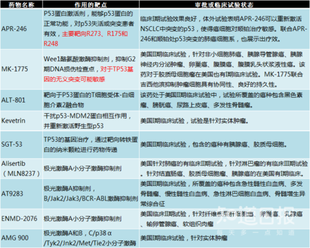 著名抑癌基因TP53的突变和药物 - 知乎