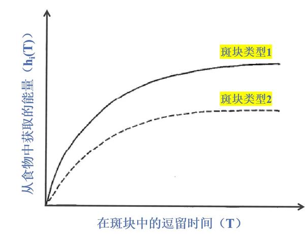 书生 的想法: [100条生态学笔记] | 最优觅食的边际价值理论（Optimal foraging, the marginal value ...