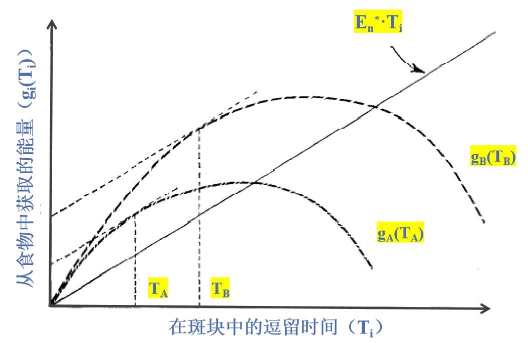 书生 的想法: [100条生态学笔记] | 最优觅食的边际价值理论（Optimal foraging, the marginal value ...