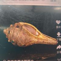 龍戰乾坤 的想法: 肉莲花是什么东西（肉莲法器是什么意思） 肉莲花是什么东西（肉莲法器是什么意思） 肉莲花是什么东西 本站最近更新了讲述密宗的 ...