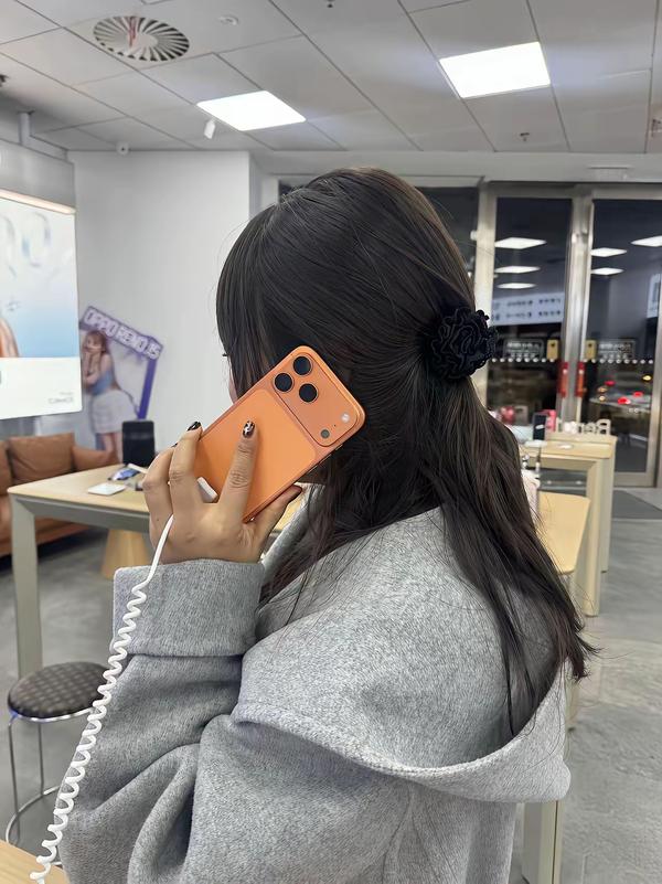 LJccj180 的想法: 一部苹果手机，一万块左右， | 就拿iPhone 17 Pro Max来说吧256GB的内存，官网售价9999元 ...