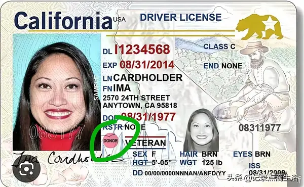 黄沙古渡 的想法: 在美国办证件，如驾驶证，会自动勾选donor（供体）。英语不好的国人，被公知忽悠移民的国人，尤其是润过… - 知乎