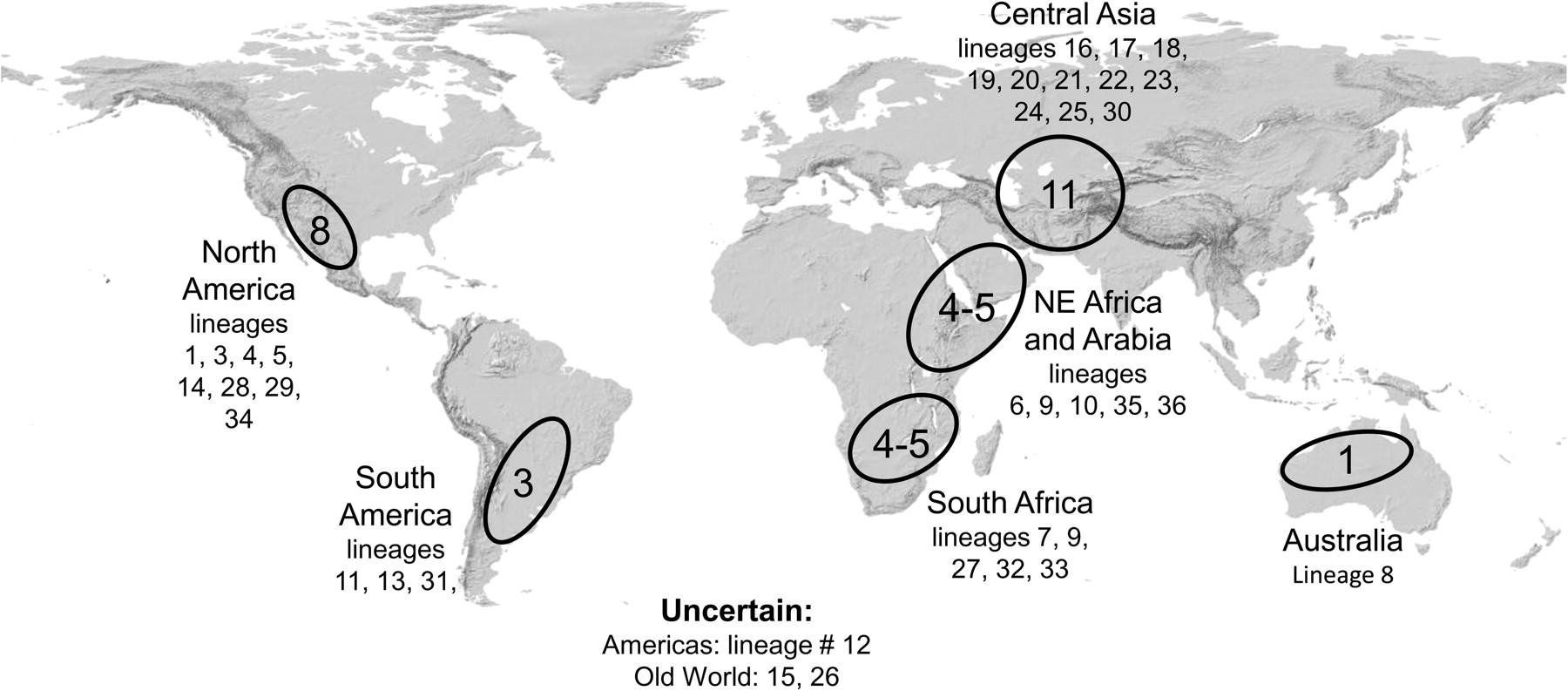 C4 植物在演化上是否具有同一起源？ - 知乎