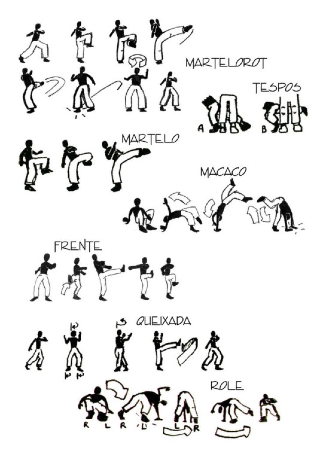 Capoeira Movements - 知乎