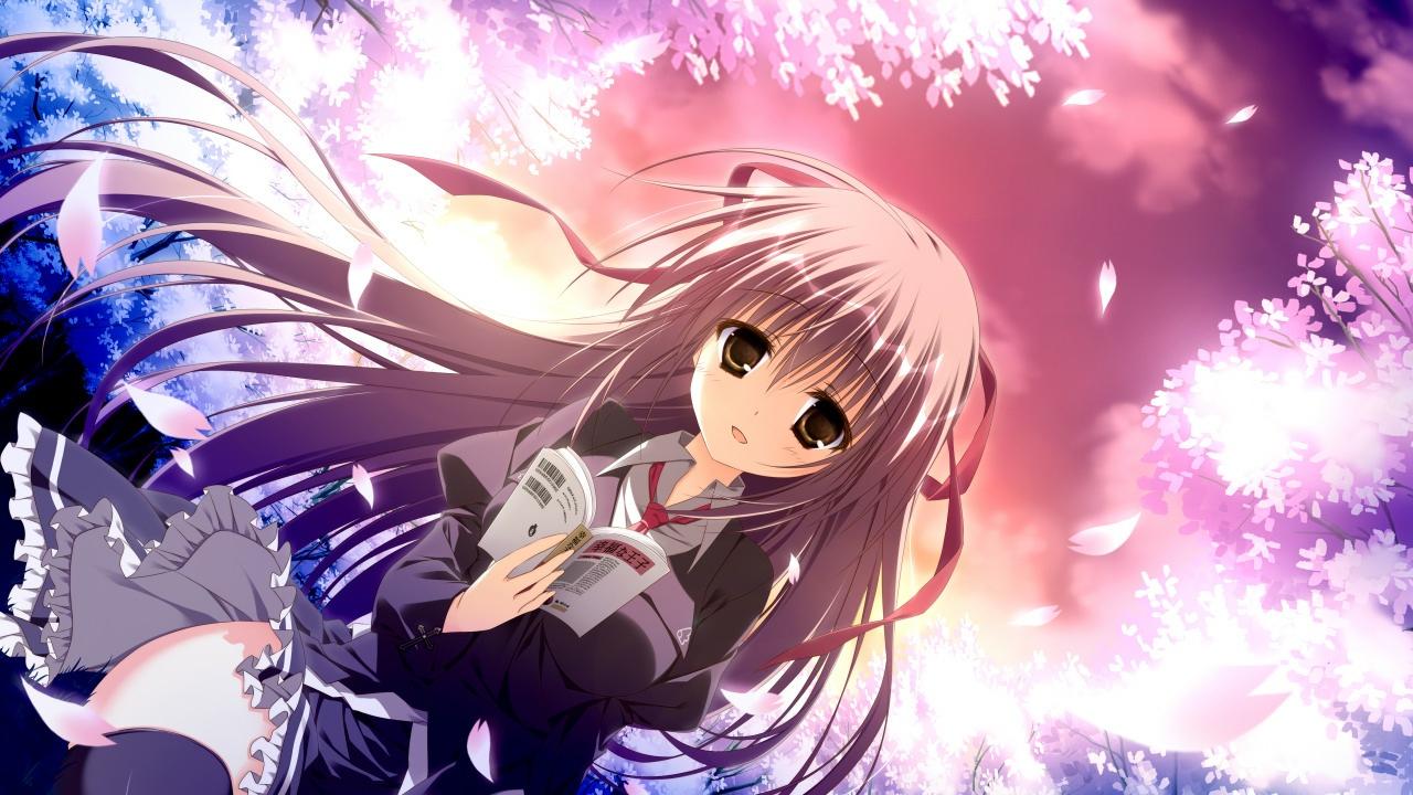 有哪些值得推荐的 Galgame？ - 知乎