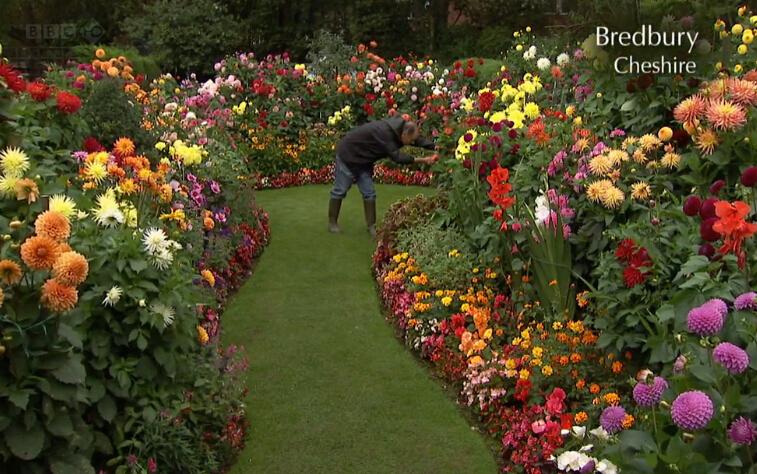 一位退休的IT经理，造了一座如梦花园 - 知乎