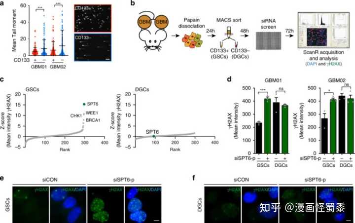 怎样提高悬浮细胞的siRNA转染效率？ - 知乎