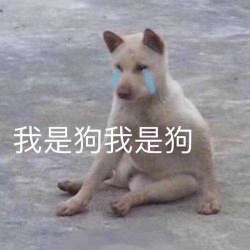 有什么超搞笑的文案？ 知乎
