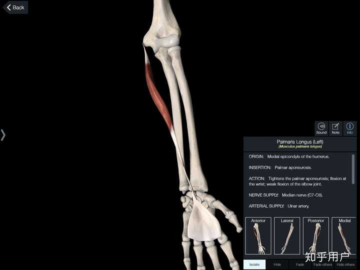 肘关节受伤，如何康复？ - 知乎