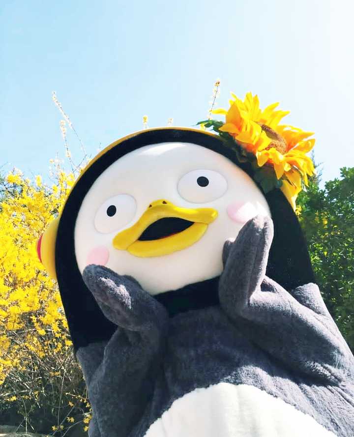 pengsoo壁纸-千图网