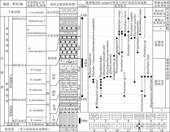 有颌鱼类的颌骨是如何演化出来的？ - 知乎