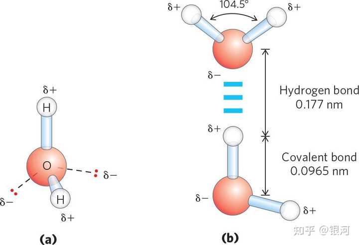 为什么水是极性分子？ - 知乎