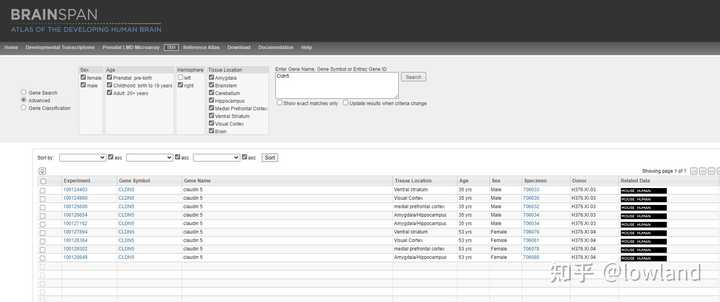 关于Allen brain atlas ISH图像? - 知乎