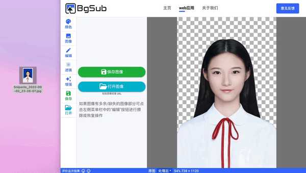 BgSub免费的在线抠图和去除图片背景在线工具 | Ai工具箱-萝卜智能