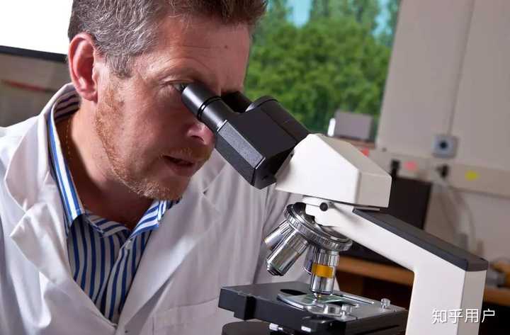 显微镜品牌有哪些，怎么选购？ - 知乎