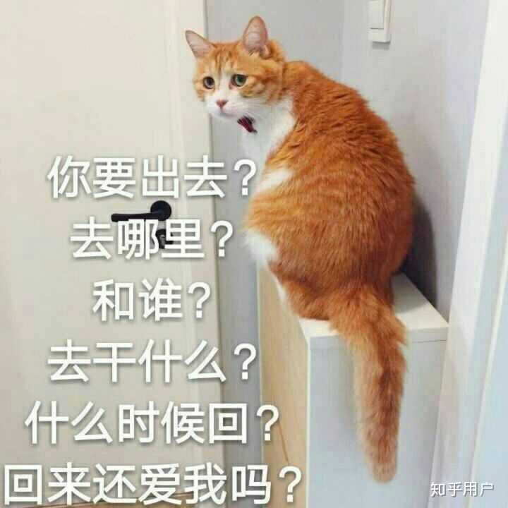 你见过最暖心的表情包是什么？ - 知乎