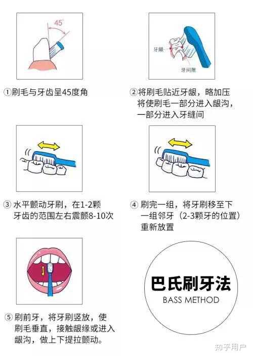 怎么刷牙才干净? 知乎