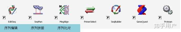 怎么用MegAlig比对基因序列？ - 知乎