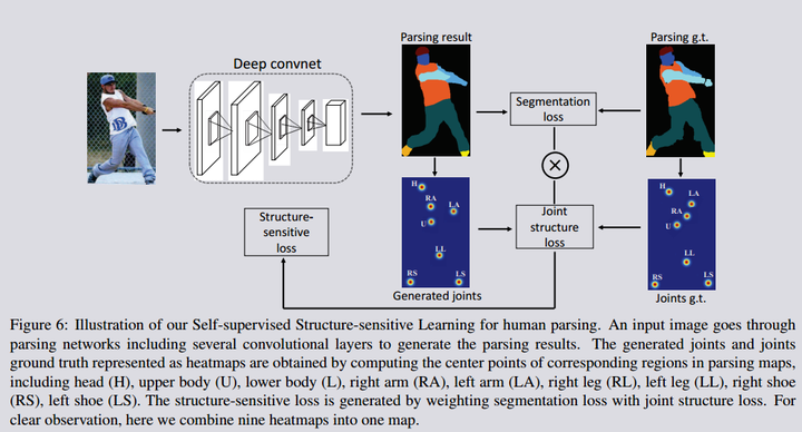 Look into Person: Self-supervised Structure-sensitive Learning and A New Benchmark for Human ...