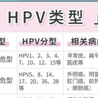 赵艳忠 的想法: HPV感染型号风险等级大排名，您认识的在… - 知乎