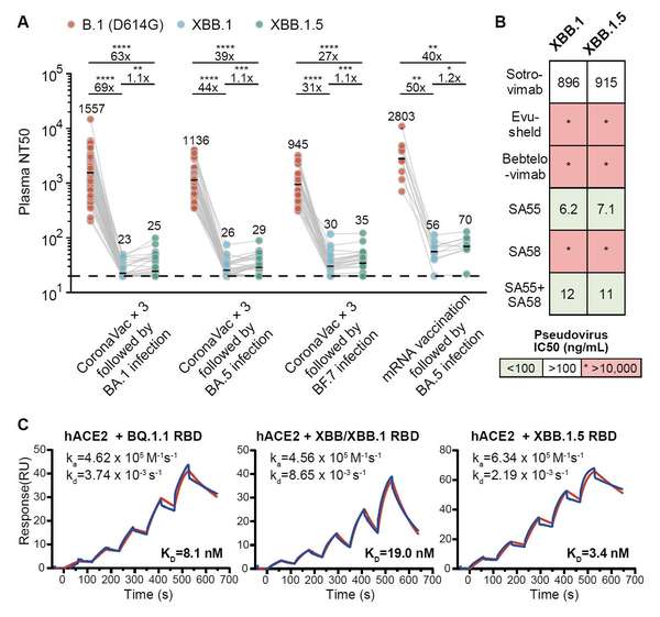 炒股医生 的想法: 重磅！北大曹老师今天出了xbb1.5的最新数… - 知乎