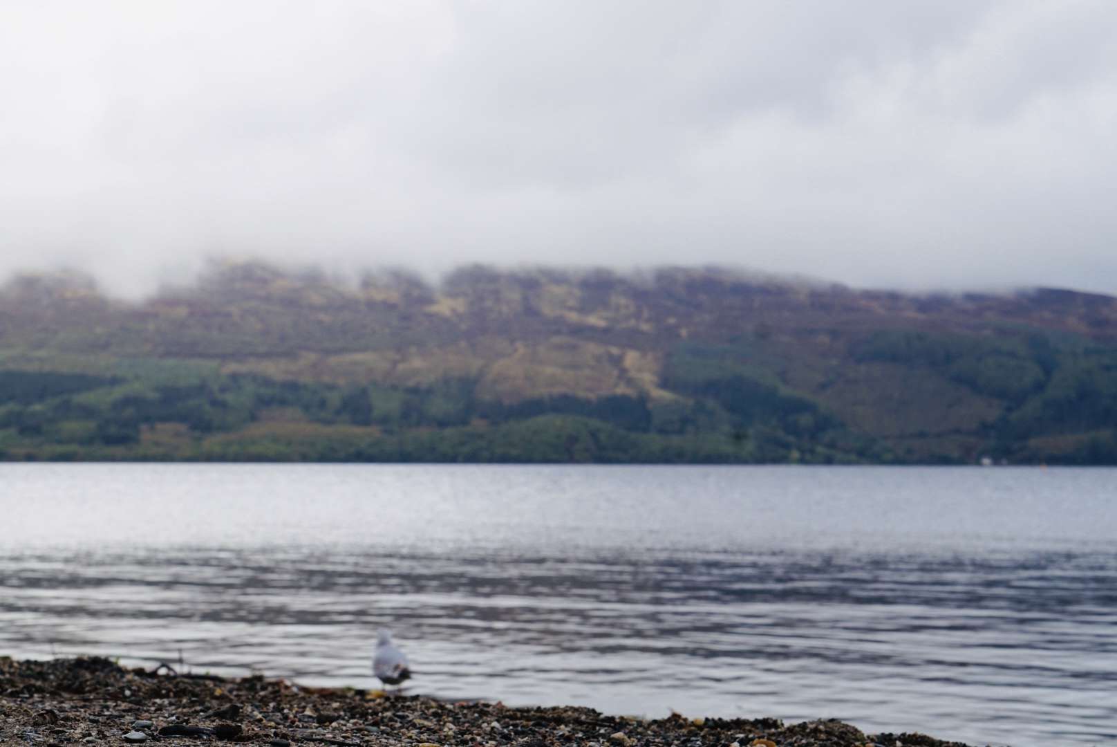 罗比 的想法: 苏格兰罗蒙湖边的 Luss 小镇 | Luss（拉… - 知乎