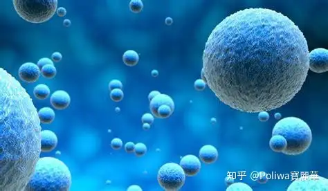 2024 Oligoscan, Spectrophotometry, & Top Trends-2024年Oligoscan分光光度法和热门趋势