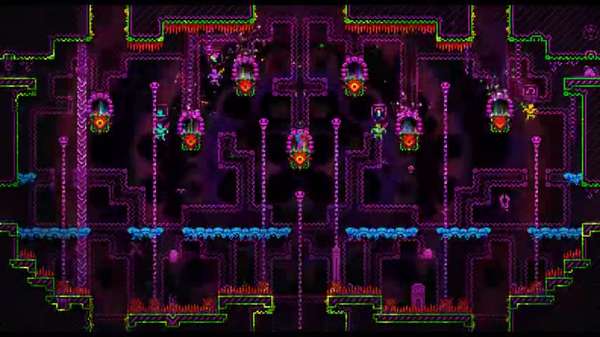 #17.Straima - 知乎