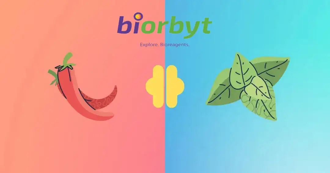 【Biorbyt 产品】TRP通道相关调控子-公司新闻-武汉博欧特生物科技有限公司