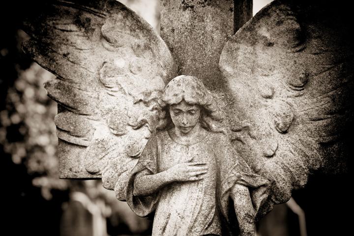 股权众筹平台AngelList的“领投+跟投”模式 - 知乎