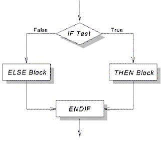 第九周-if then else - 知乎
