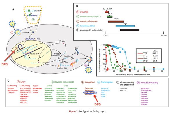 特威凯（多替拉韦钠，DTG），真的那么“神”么？ - 知乎