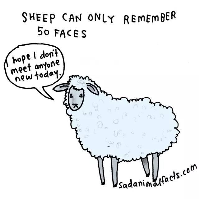 如果要用动物来代表心理学的话…… - 知乎