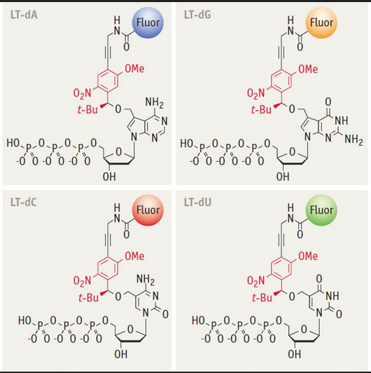 20160405 illumina 测序原理介绍 - 知乎
