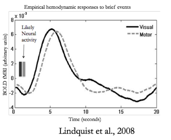 Module 8: Signal, Noise, and Bold Physiology - 知乎