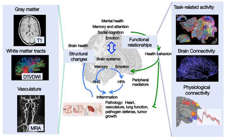 【fMRI Note】Module 1 Introductions and Ground Rule - 知乎