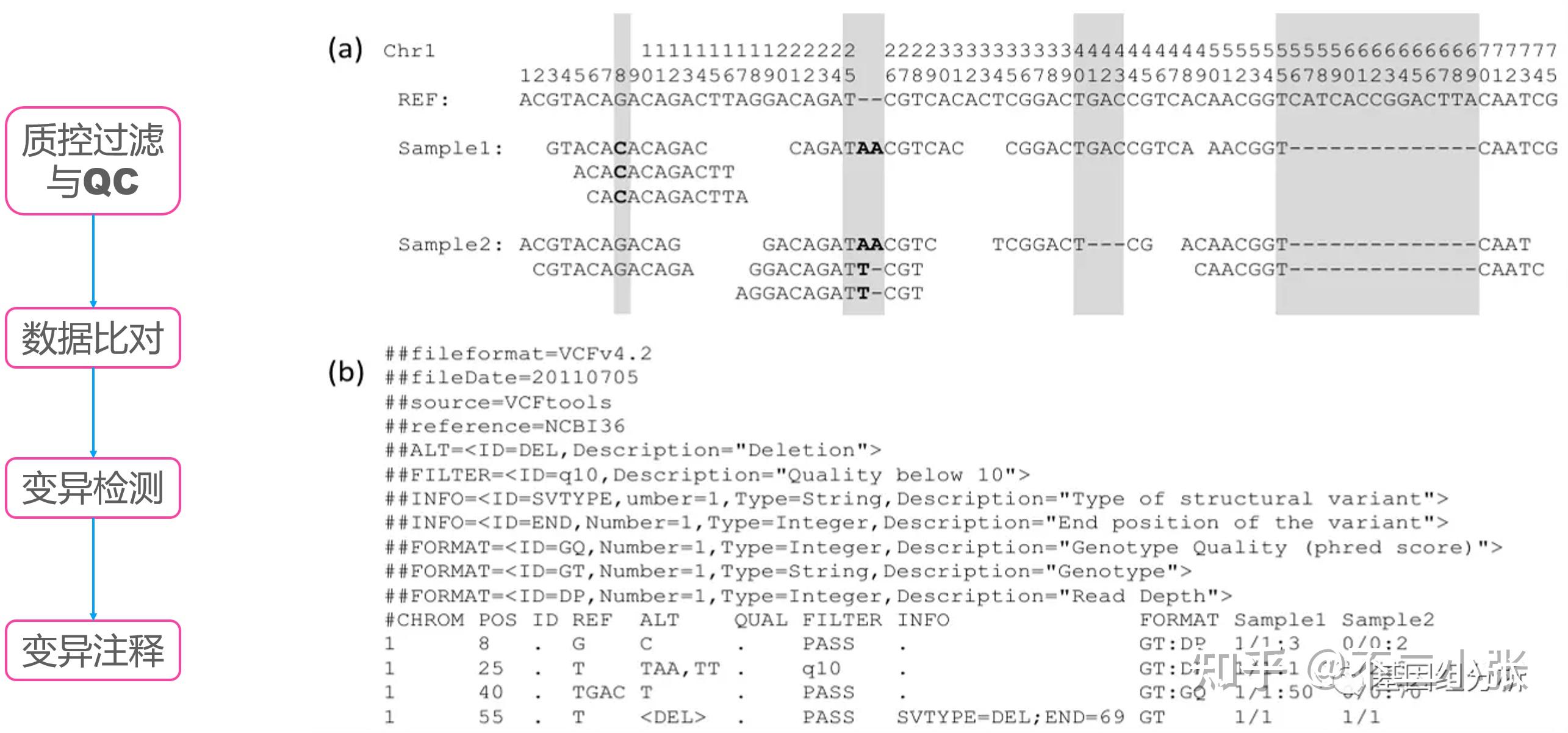 Somatic与Germline 变异检测在生信分析实践中的差异 - 知乎