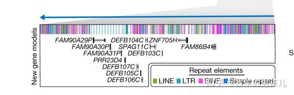 跟着nature学作图:r语言ggplot2作图展示基因和转座子的相对位置 知乎