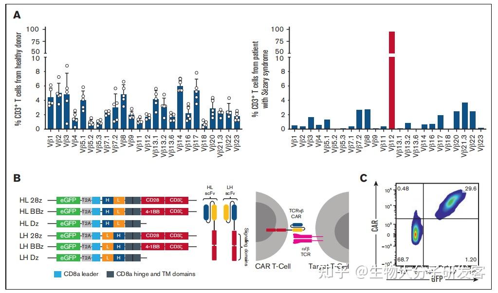 经典CAR分子的选择—全人源scFv抗体分子 - 知乎