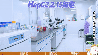 HepG2.2.15细胞培养，人肝癌细胞培养攻略 - 知乎