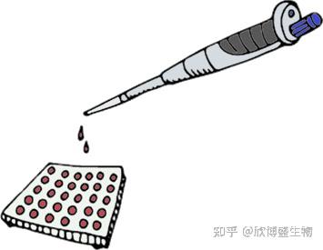 FuGENE® 4K——四步轻松搞定转染 - 知乎