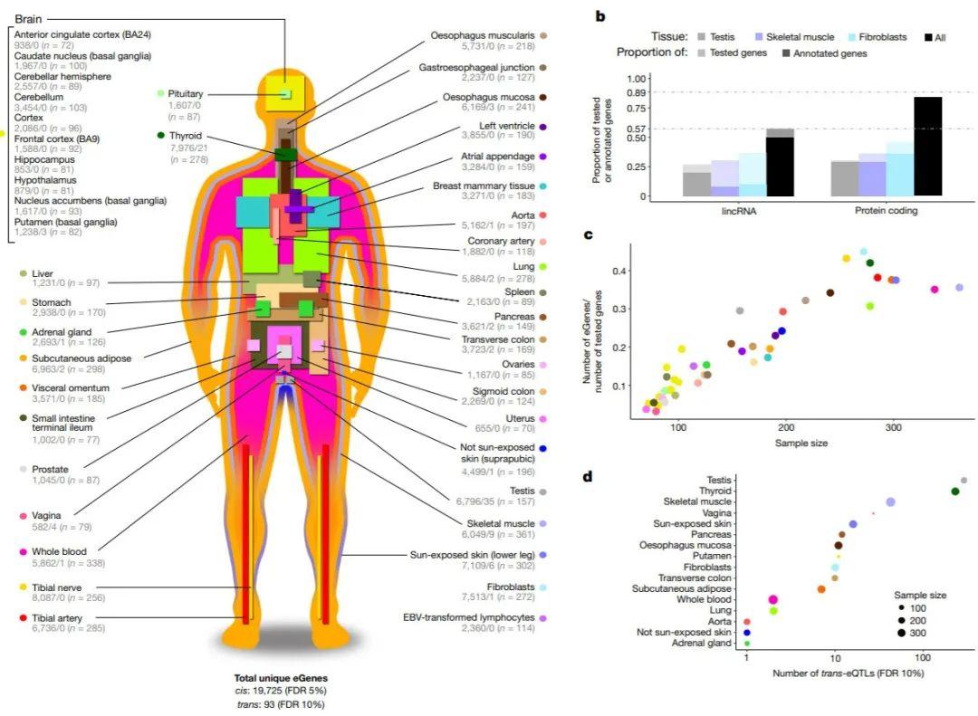 SCI赏图录（3）： TCGA 和GTEx 数据库联合分析 - 知乎