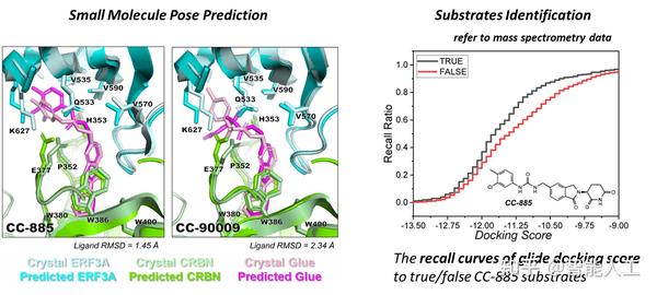 从偶然发现到理性设计，CRBN分子胶水的下一个靶标在何方？ - 知乎