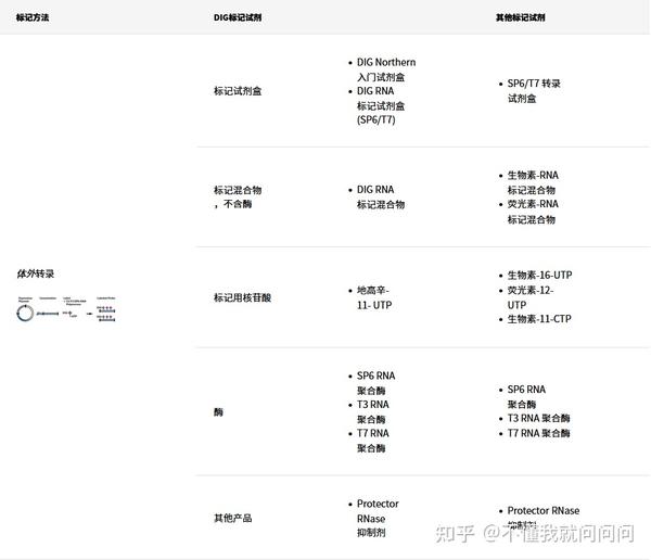 默克生命科学 | 地高辛 (DIG) 标记方法 - 知乎