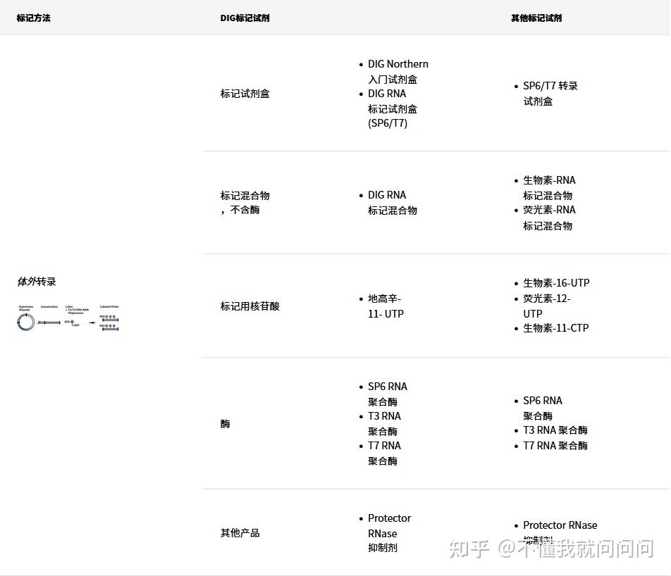 默克生命科学 | 地高辛 (DIG) 标记方法 - 知乎