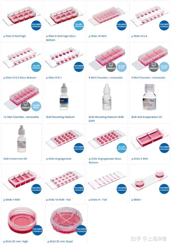 ibidi应用指南|免疫荧光实验 - 知乎