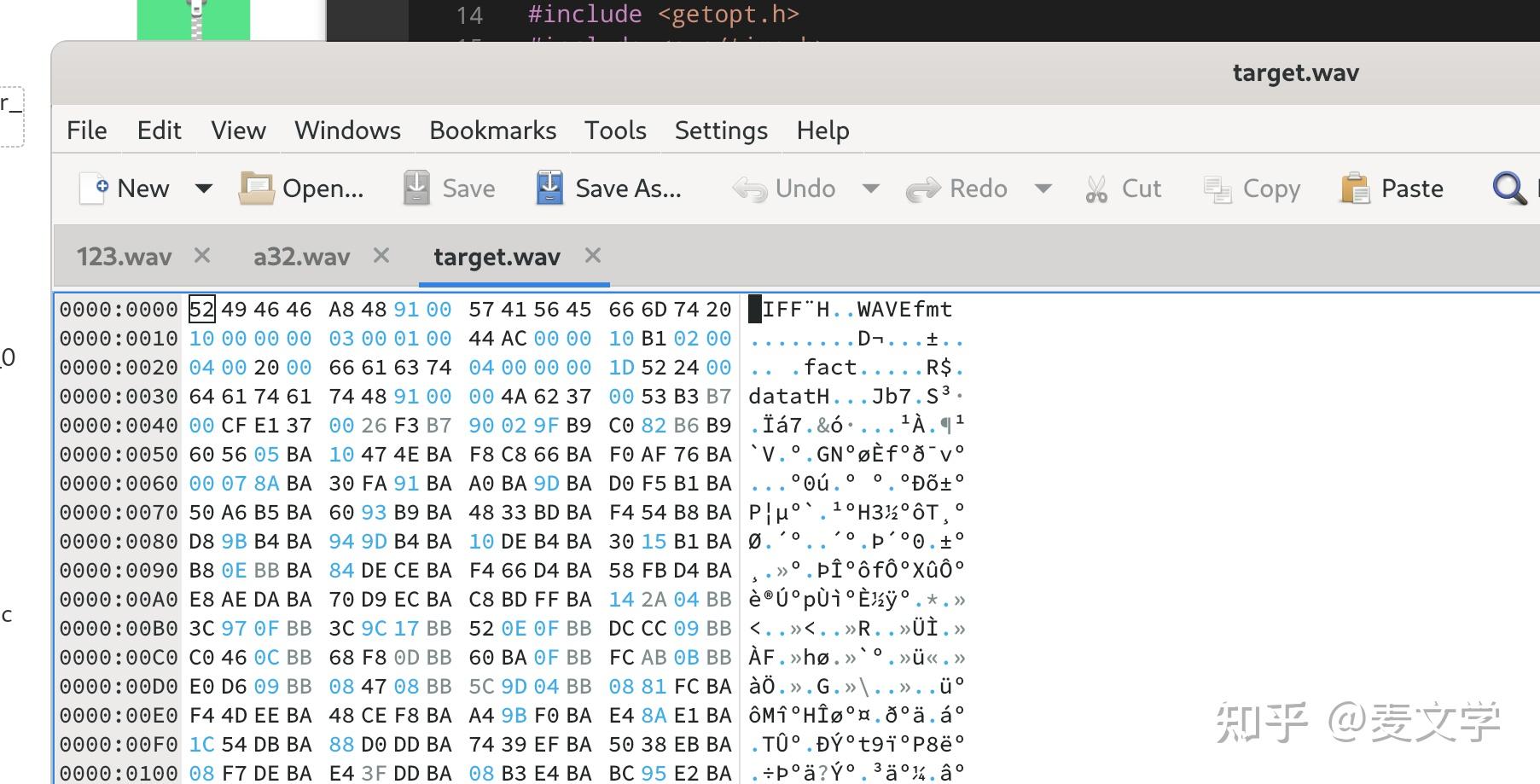 波形 WAV 文件头结构（结构体）: 音频采集后续小实验后续小实验