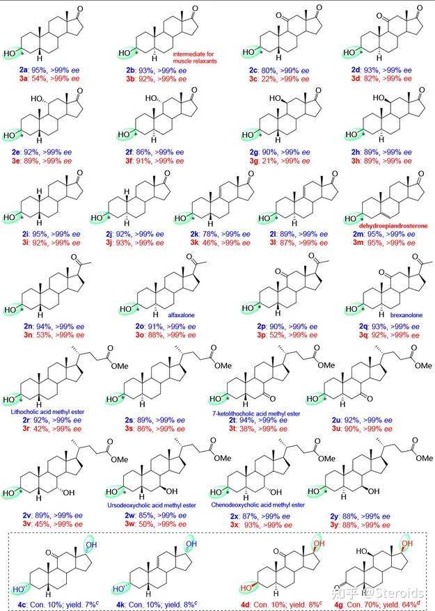 【Org. Lett.】羟类固醇脱氢酶催化的3-酮基甾体高区域、化学及对映选择性氢化反应 - 知乎