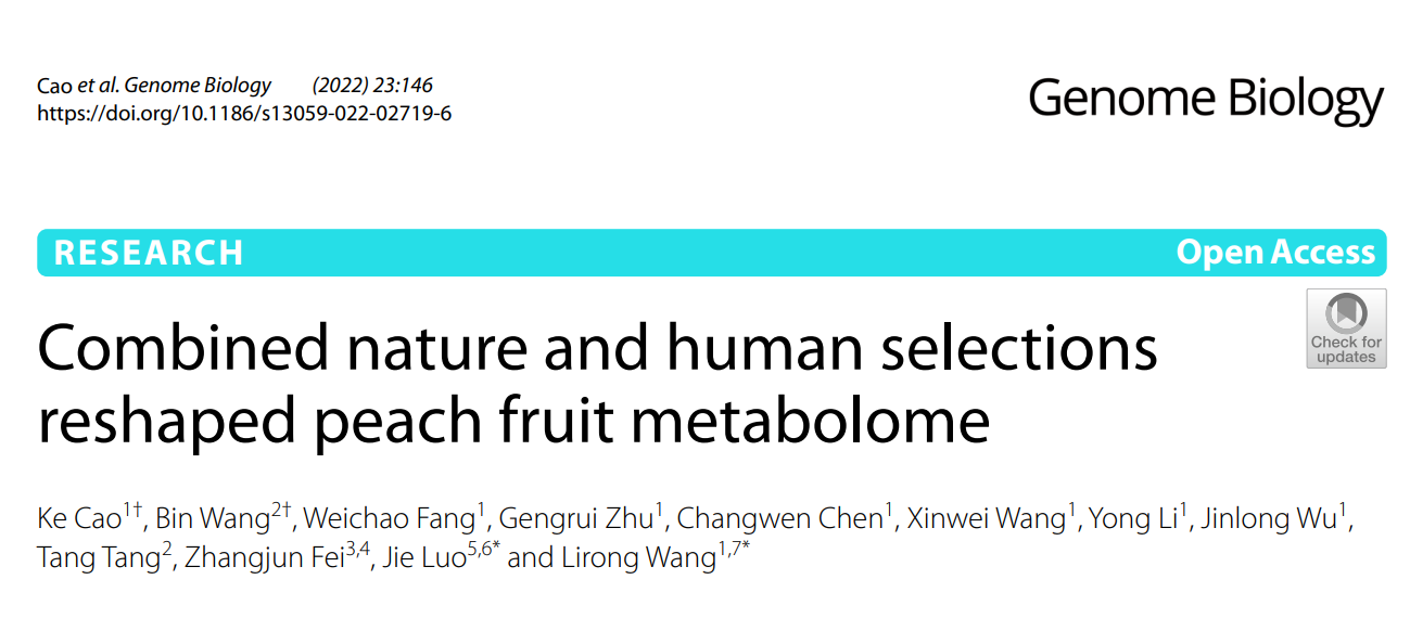 Genome Bio l 郑果所王力荣团队&罗杰团队&迈维代谢发表桃代谢组研究成果 - 知乎