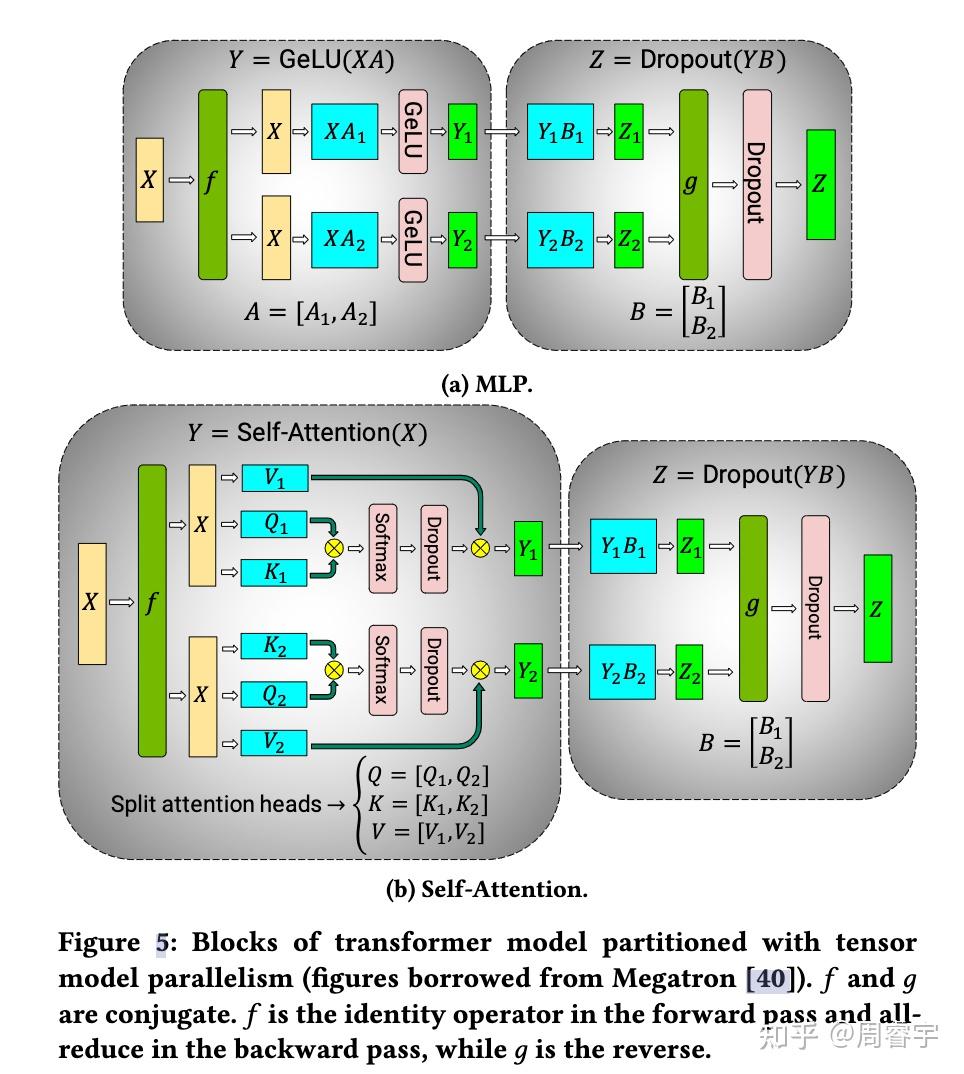 【LLM序列并行】全局图解：Megatron TPSP
